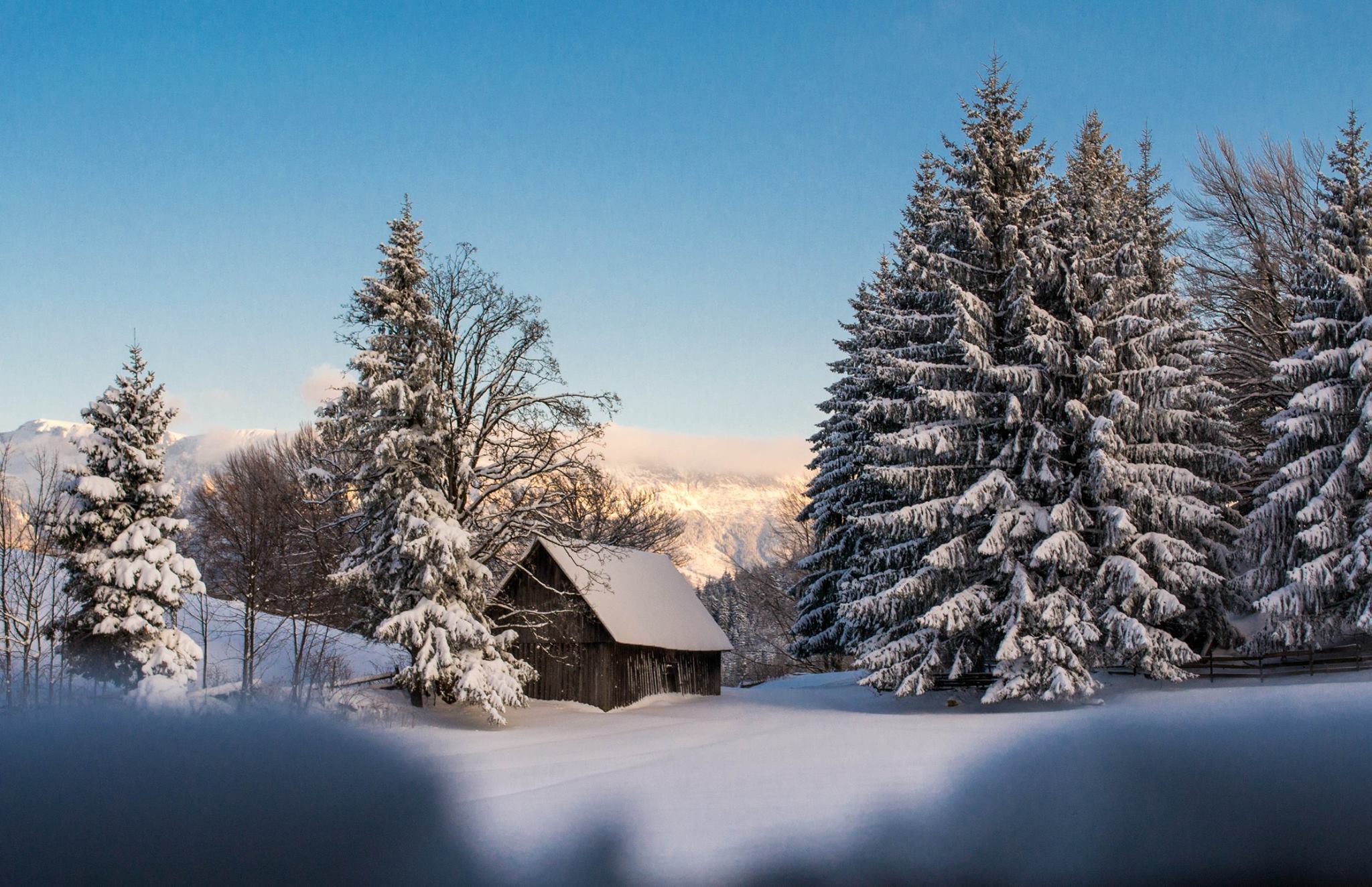 De ce țara noastră se cheamă România? De unde vine Romania?