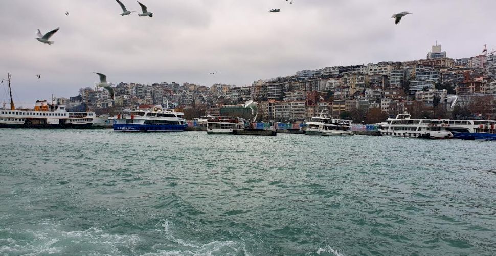 De ce Turcia se numește Turkey în engleză și care e legătura cu curcanul?