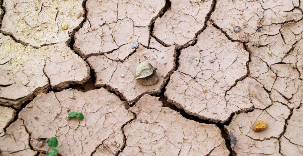 Care este singurul loc uscat de pe Pământ unde nu există pământ?