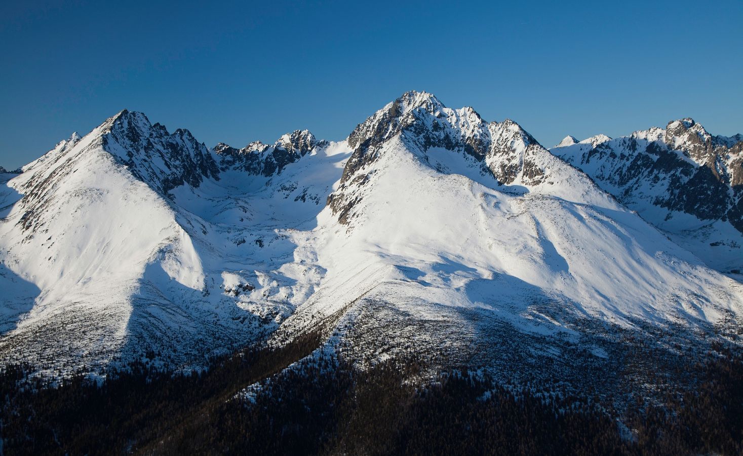 Care este cel mai înalt vârf din Munții Carpați? Unde se află acesta?