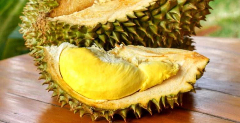 Care e fructul cu care n-ai voie să te urci în autobuz?