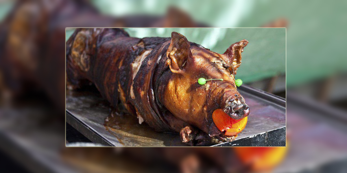 De ce se pune măr în gură la porcușorul de lapte? Porc de lapte