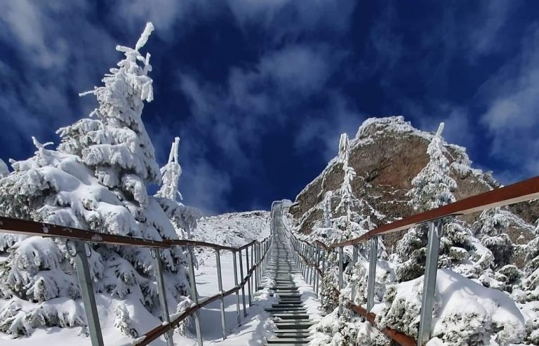 Vârful Toaca. Care este povestea scării din inima munților?
