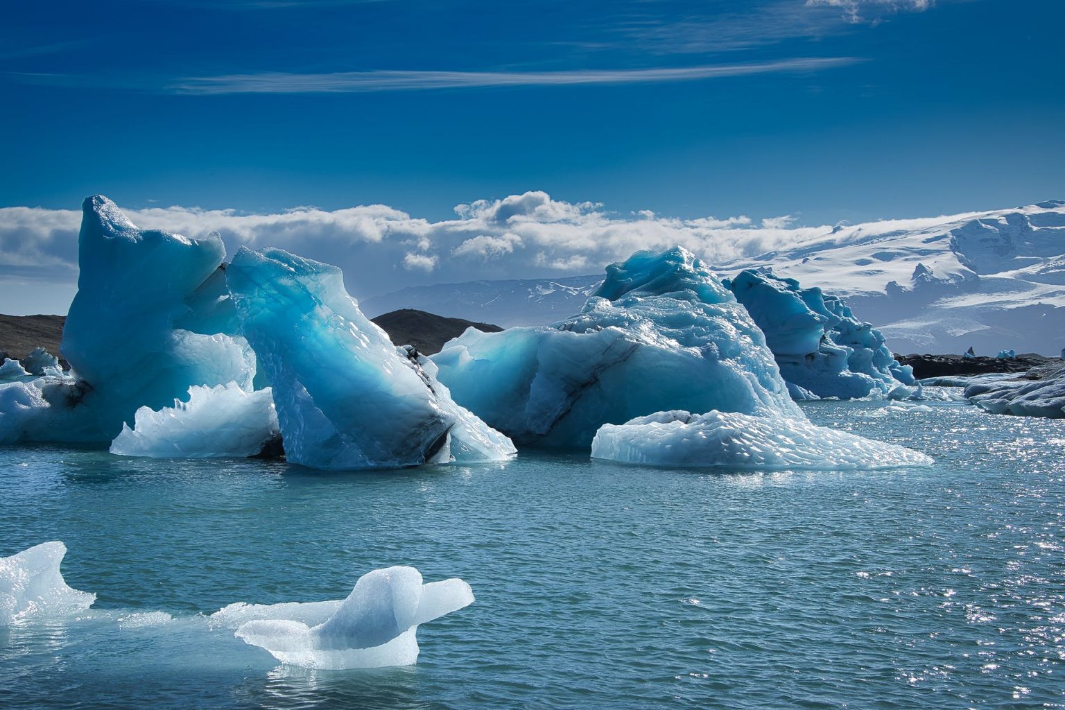 Este adevărat că în Antarctica trăiesc niște creaturi ciudate?