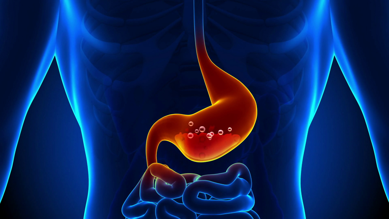 Cât de puternic este acidul gastric? Ce poate dizolva?