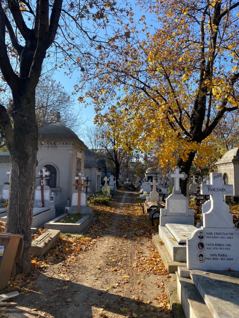 Care e povestea cimitirului Bellu? Cum a luat naștere?