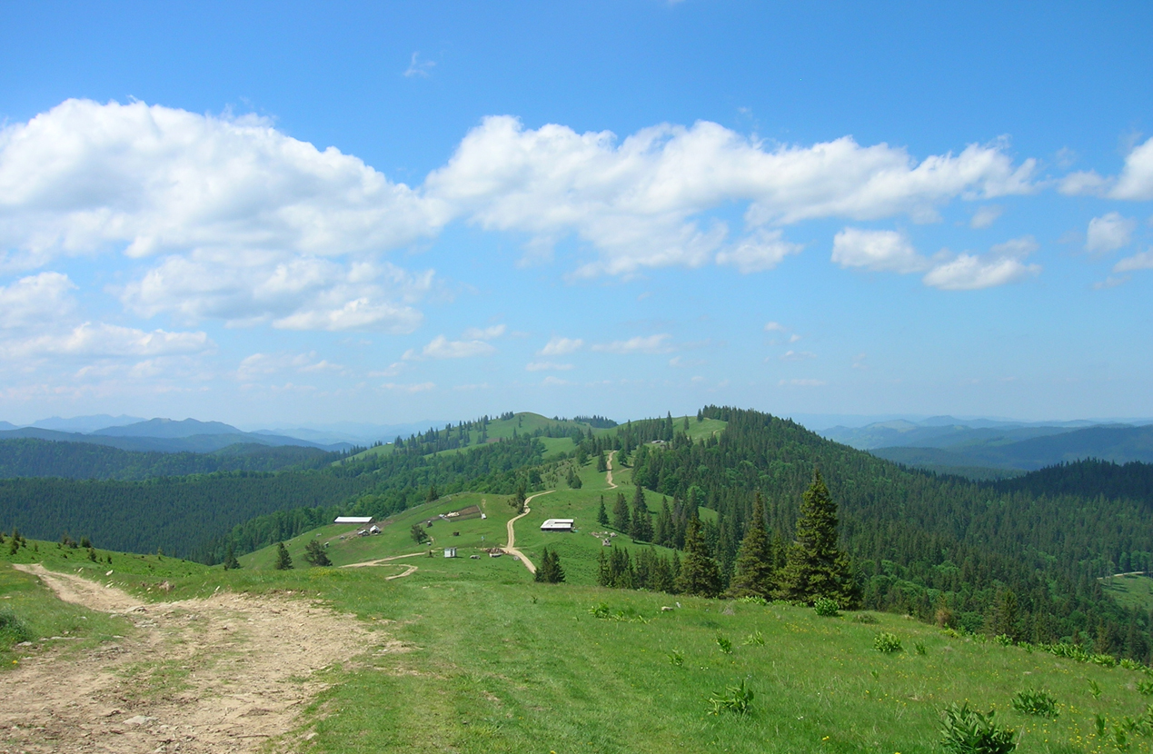 Care este adevăratul drum pe care l-a parcurs Vitoria Lipan în Baltagul?