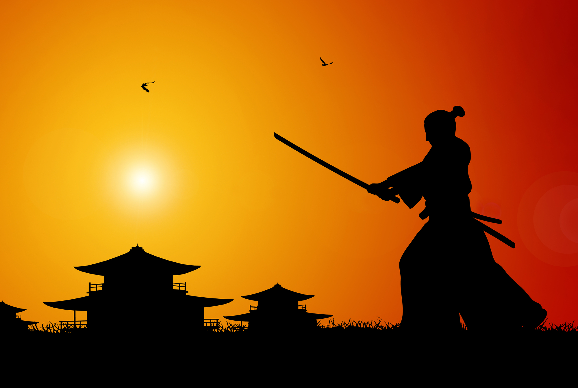 Cum arată primul samurai de culoare?