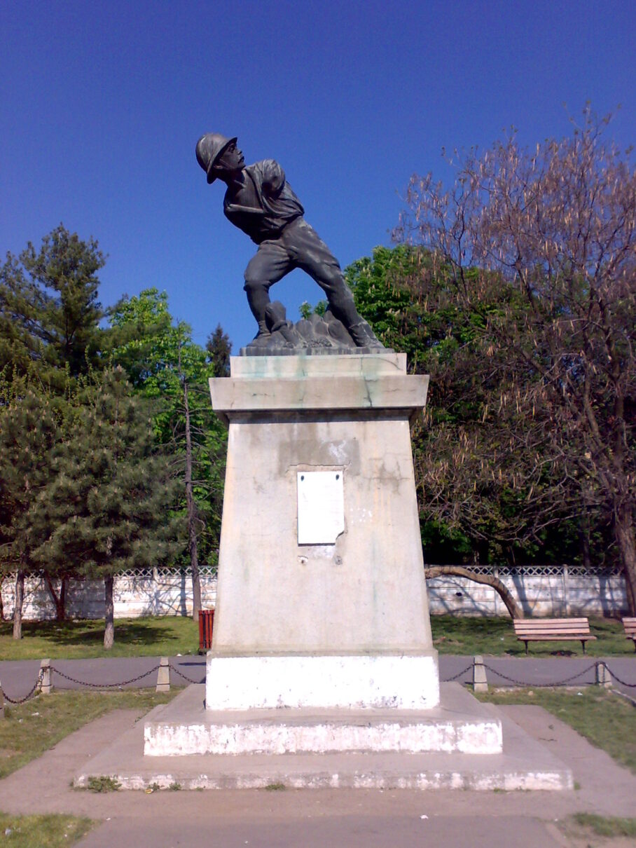 Constantin Muşat, țăranul-erou cu o singură mână