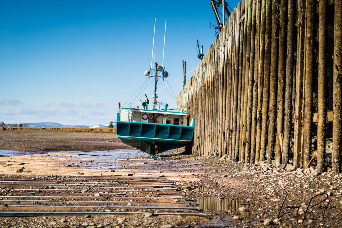 Care sunt țările fără ieșire la mare?