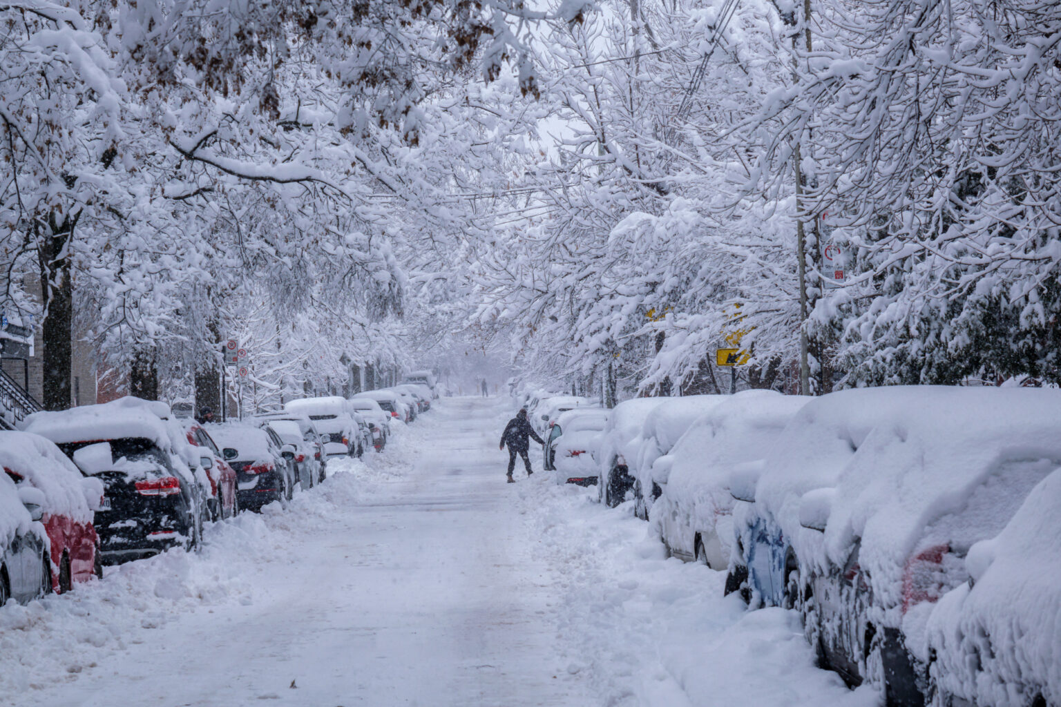 De ce unii oameni urăsc zăpada?